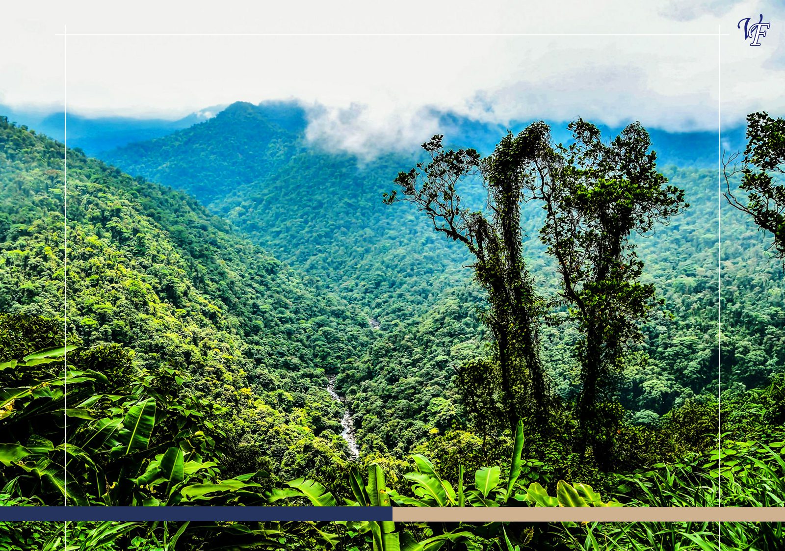 Your Guide to Braulio Carrillo National Park, Costa Rica - Villa Firenze